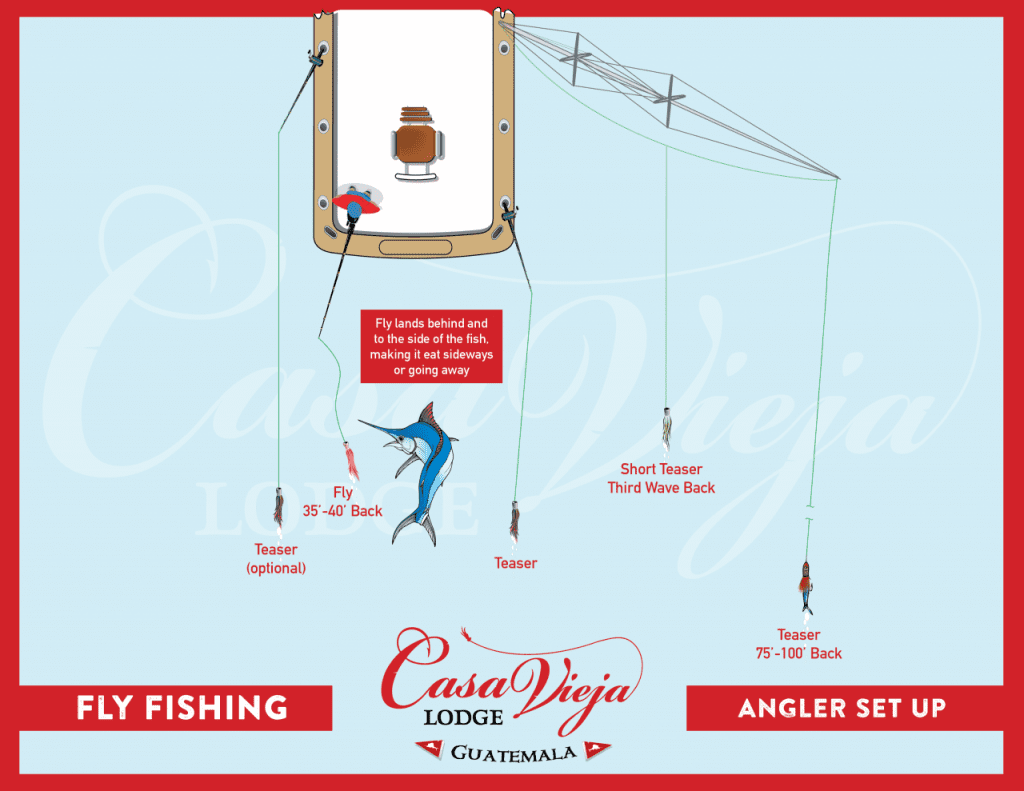 Trip Planner - Casa Vieja Lodge & Sportfishing Fleet